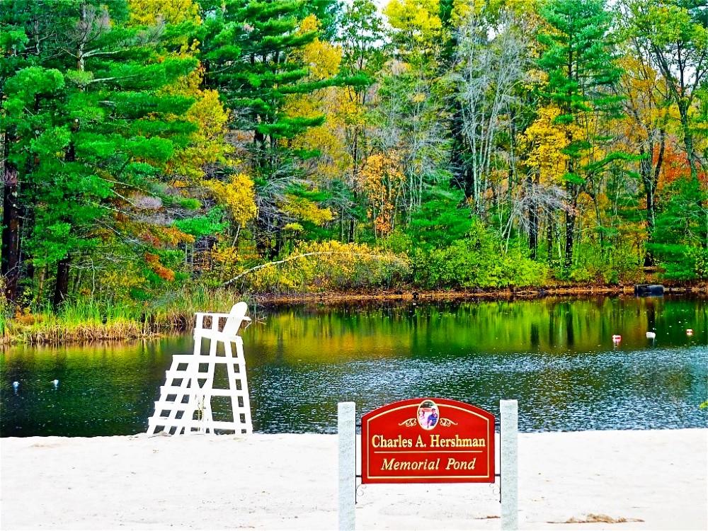 Walpole Town Forest – Norwood Historical Society