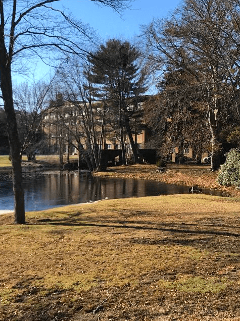 Life after George Bird’s Death – Norwood Historical Society