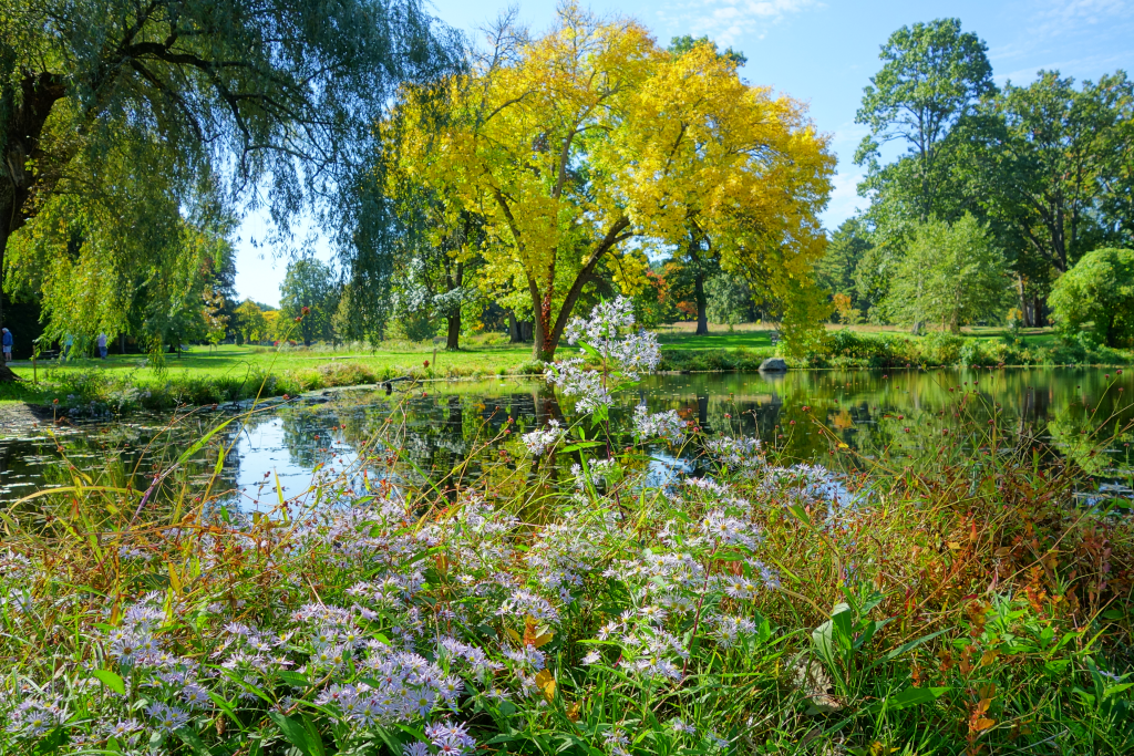 Francis William Bird Park, Walpole – Norwood Historical Society