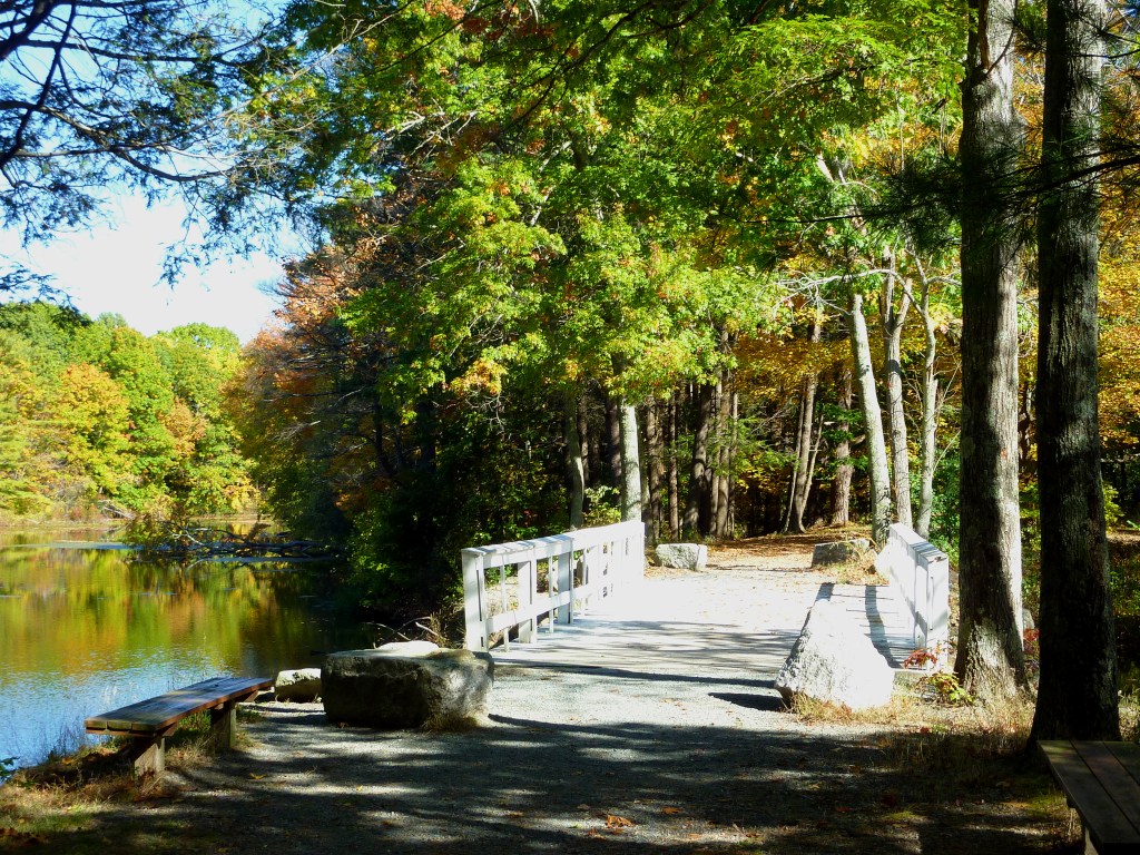 Walpole Town Forest – Norwood Historical Society