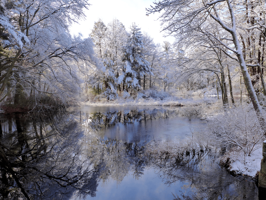 Walpole Town Forest – Norwood Historical Society