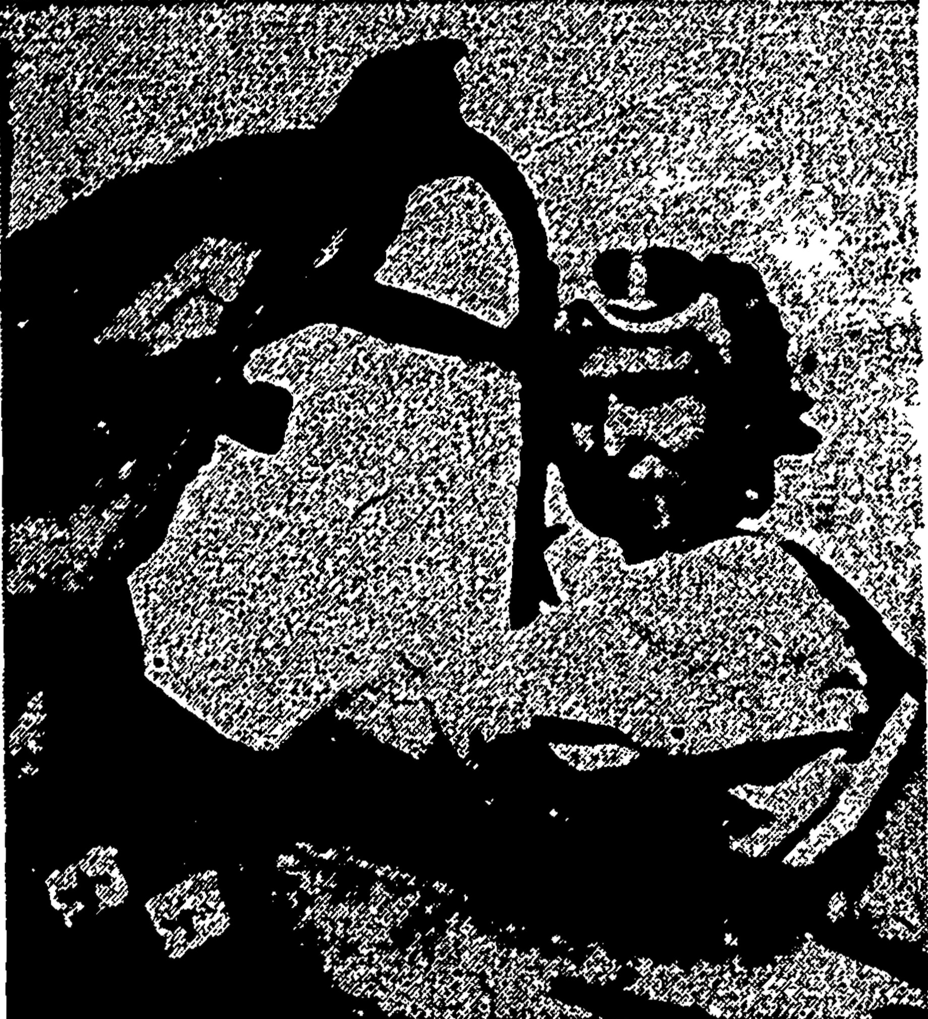 George T lee – Norwood Historical Society